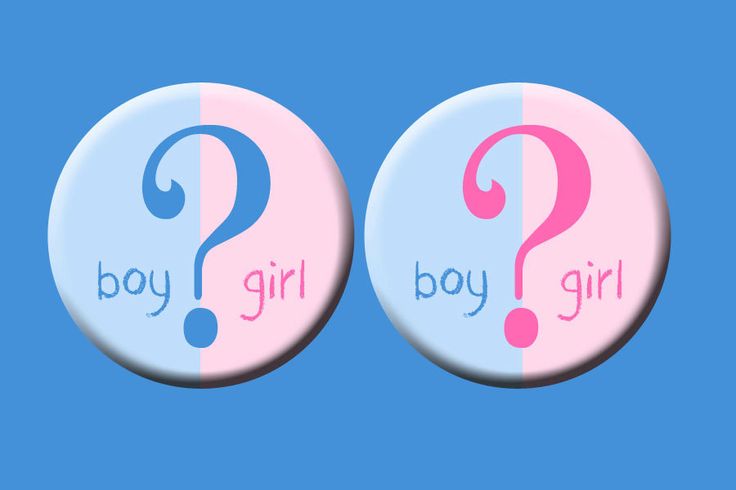 Twins Gender Reveal | Gender Revealer Australia
